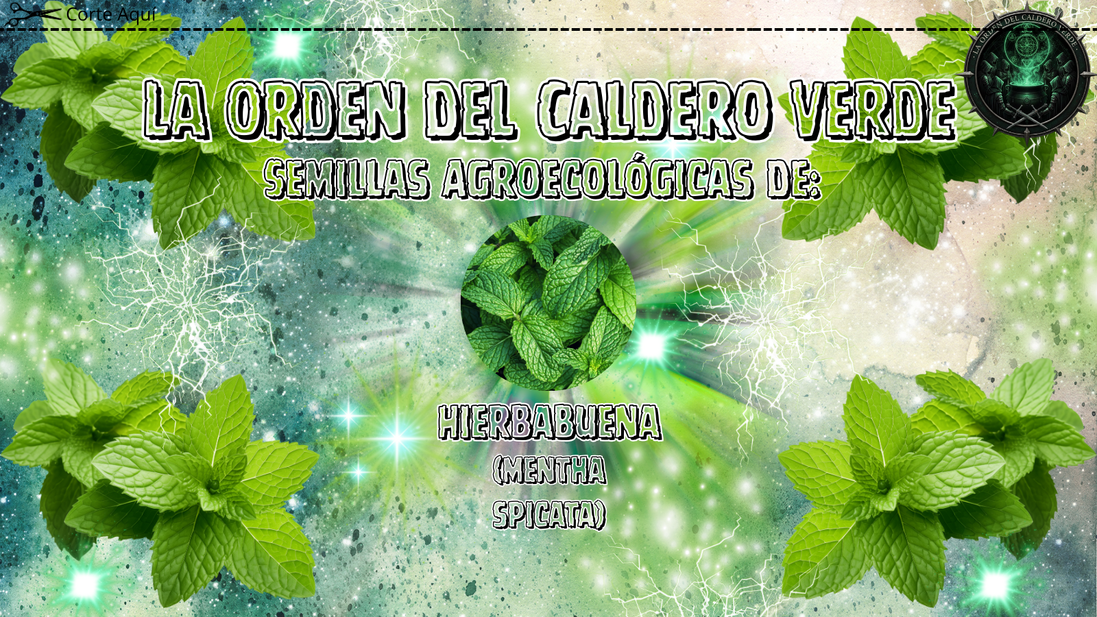 Semillas Agroecológicas de: Hierbabuena – La Orden Del Caldero Verde
